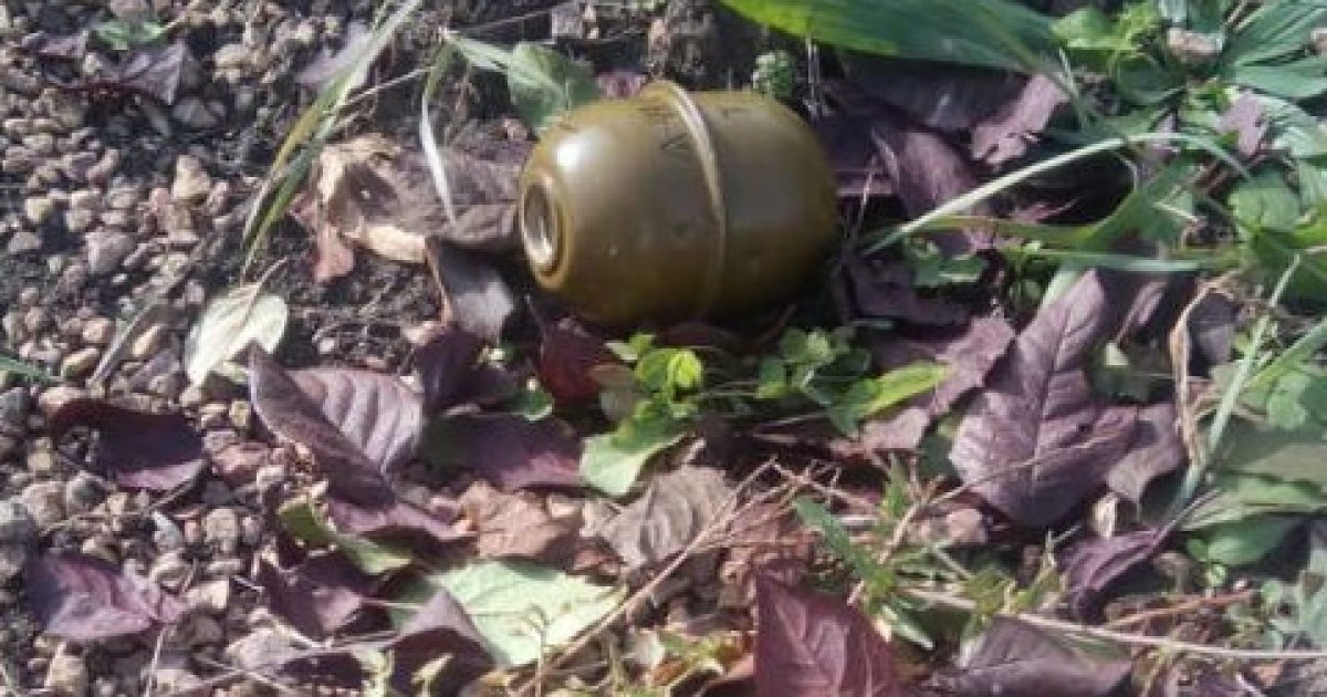 На цветочной клумбе в центре Святогорска найдена граната — Karachun