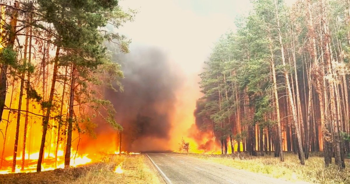 Як на території «Святих гір» борються з пожежами: відео — Karachun